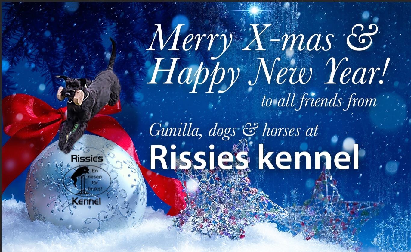 Rissies kennel - Hem